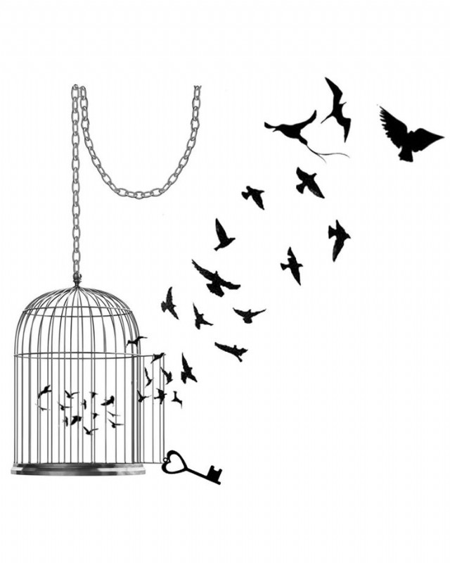 Bird Cage Drawing Flying
