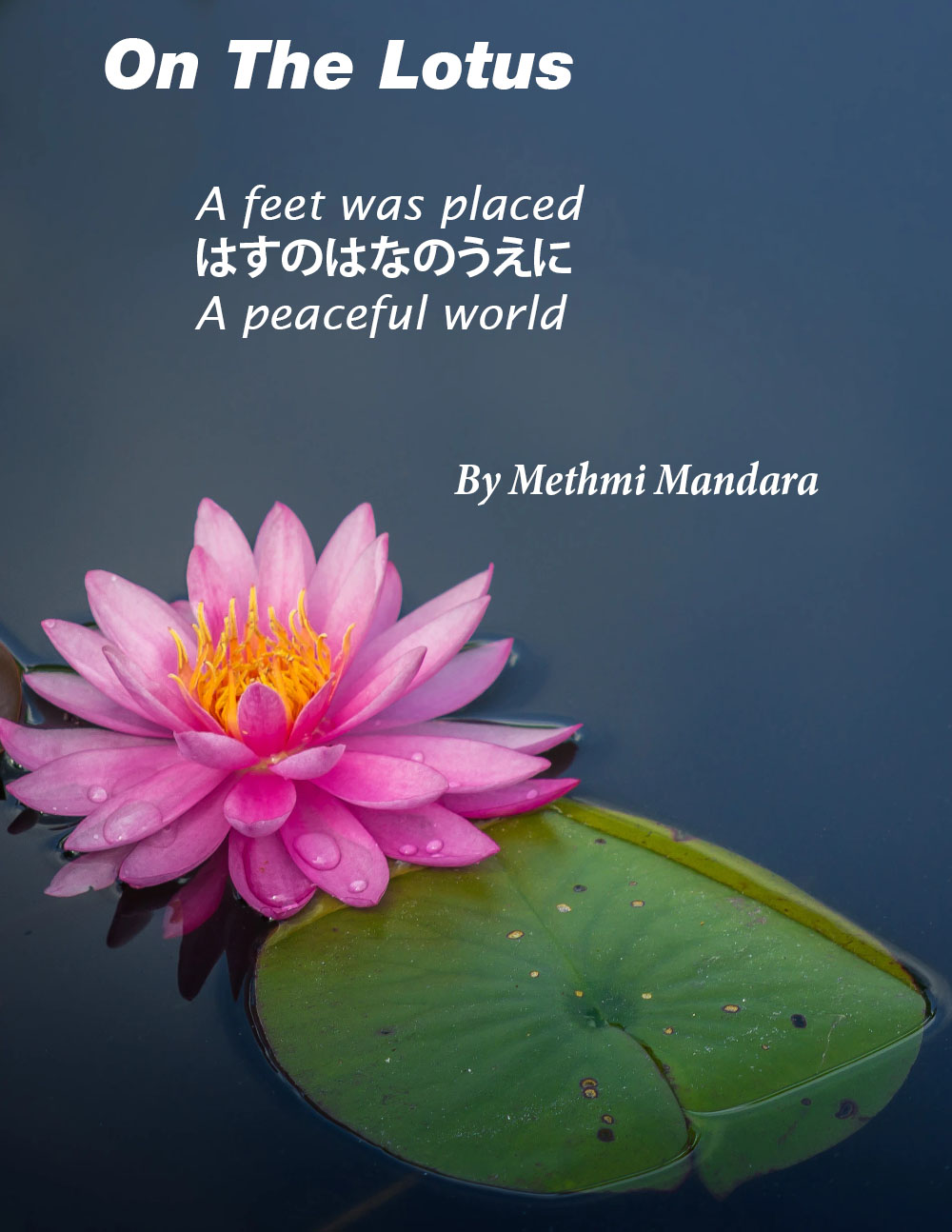 Lotus Flower Poems Quotes | Best Flower Site