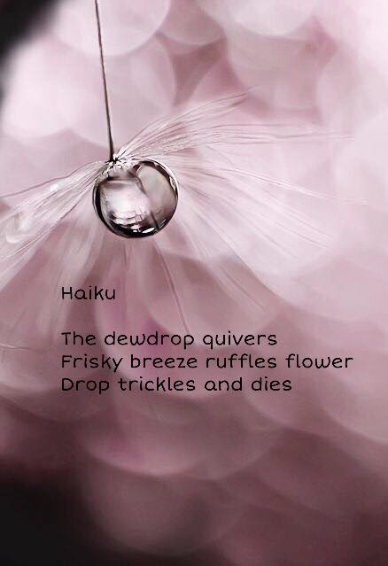 Dew Droplets Quotes Dew Quotes BrainyQuote