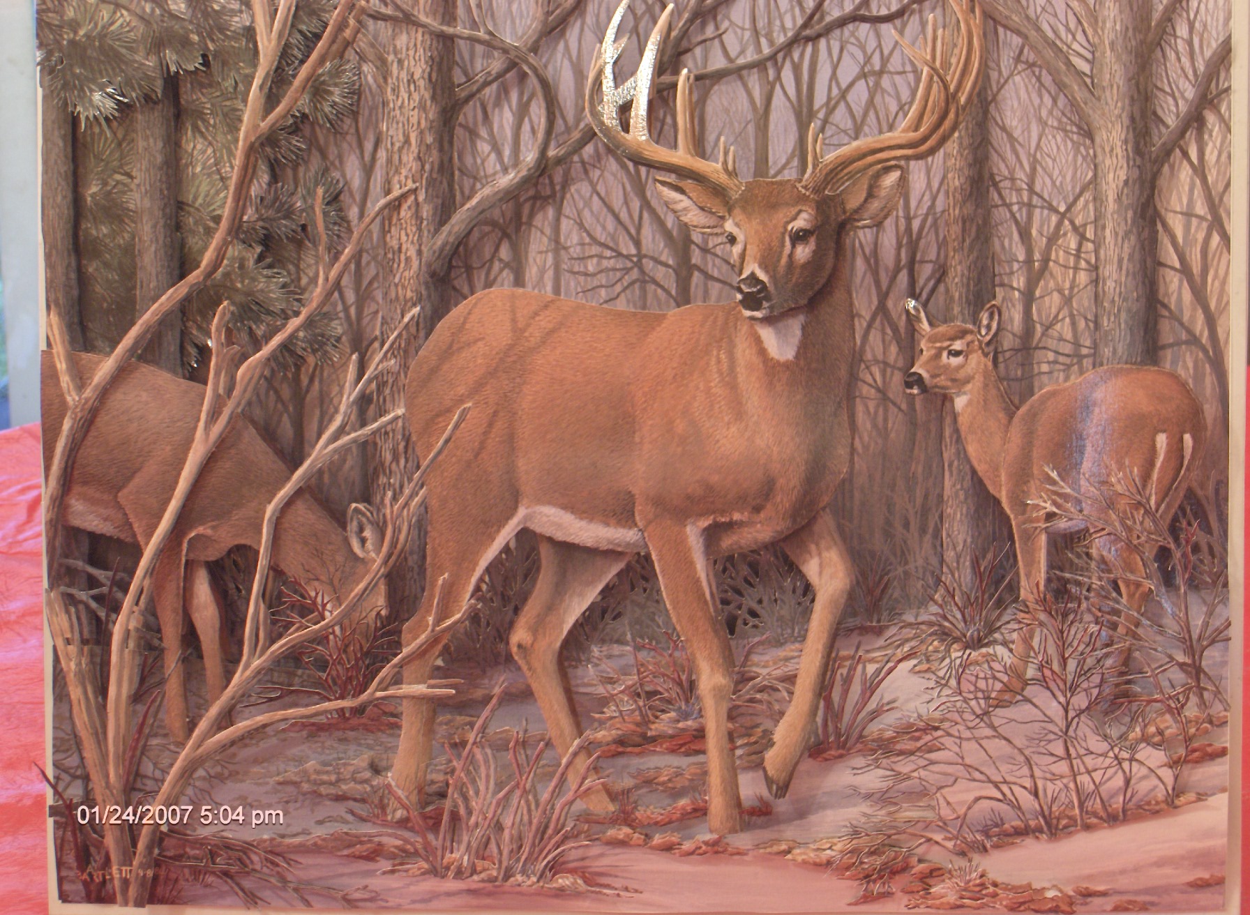 Whitetail Deer Hunting Poems My Hunting Season Poem To You My Friends!