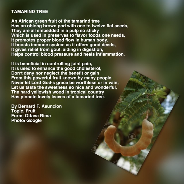 Tamarind Tree Quotes