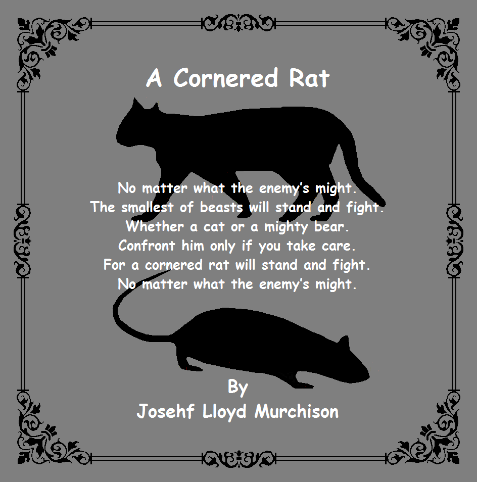 Rattie Quotes A Rat, A Snake, And A Mouse A Cautionary Tale Hugs,