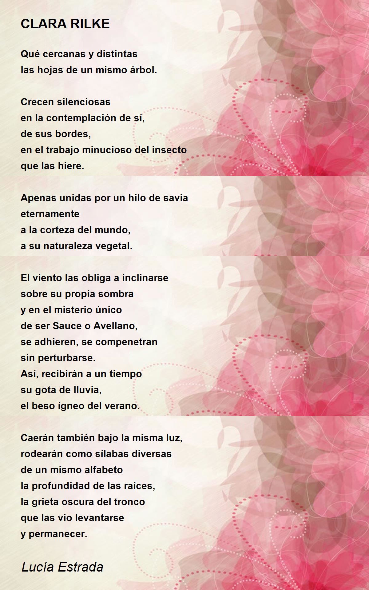 Hojas De Trabajo De Letras Silenciosas Planificación DE Lengua Y