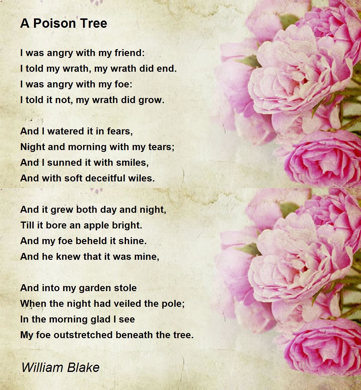 Poison Tree Poem Summary Infoupdate