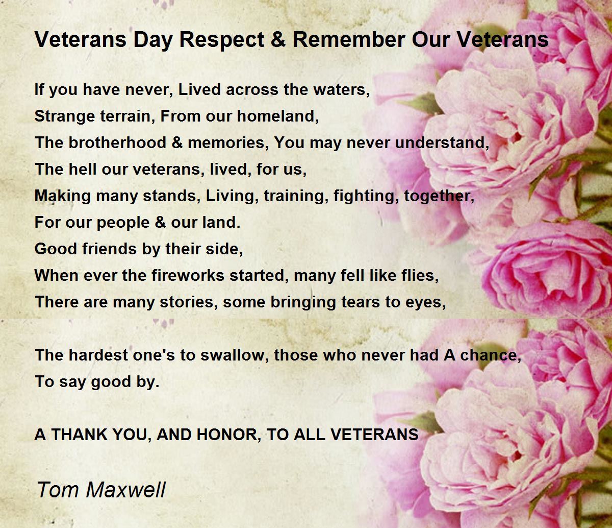 Veterans Day Poems For Today Veterans Day 2015
