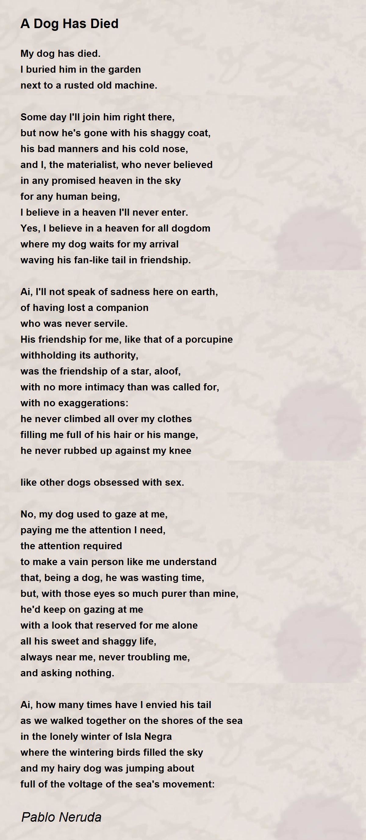 A Dog Has Died Poem Meaning A Dog Has Died Poem Meaning